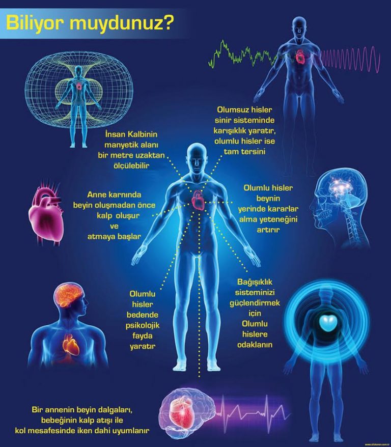 İnsan Kalbi | Ufuk Önen